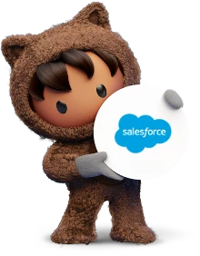 Seedsvision Consulting | Salesforce Integration